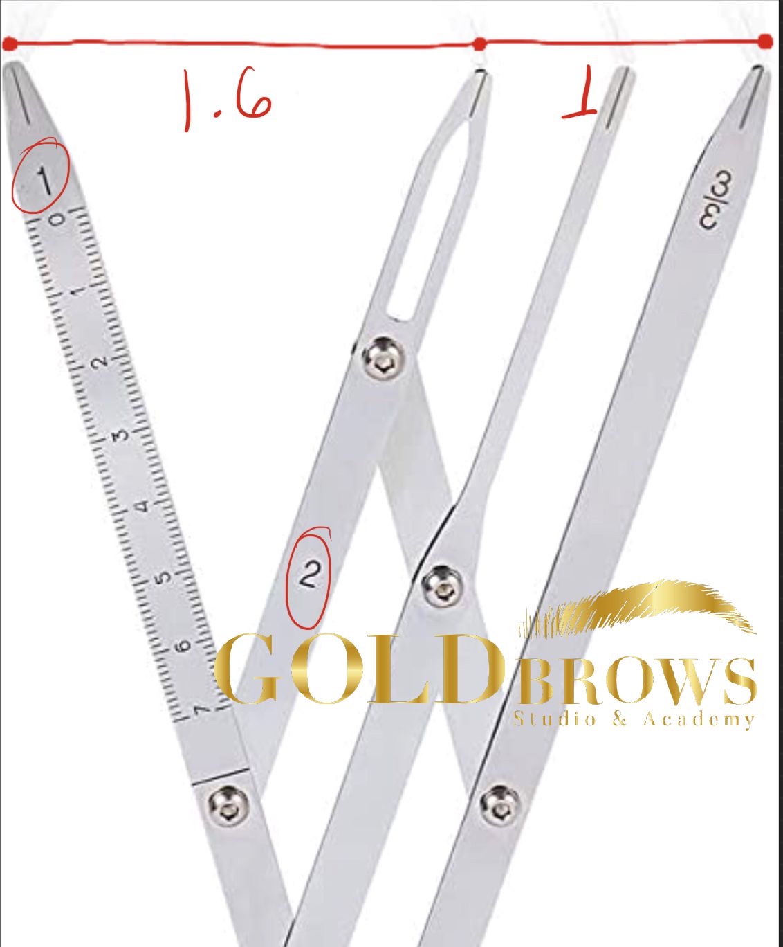 PROPORCIÓN ÁUREA APLICADA A LA CEJA - Gold Store