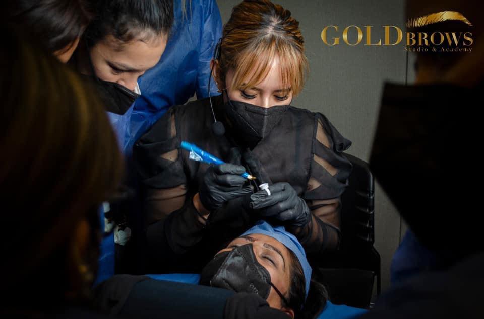 GOLD ACADEMY - LA MEJOR ACADEMIA DE MEXICO
